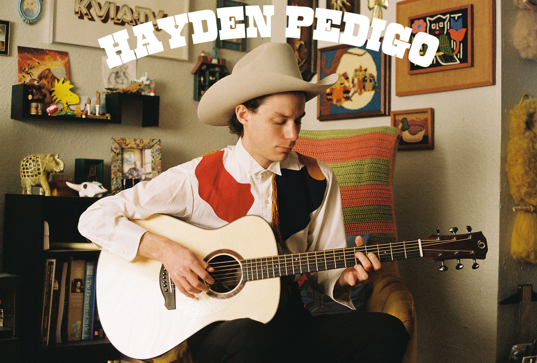 Hayden Pedigo - The Happiest Times I Ever Ignored